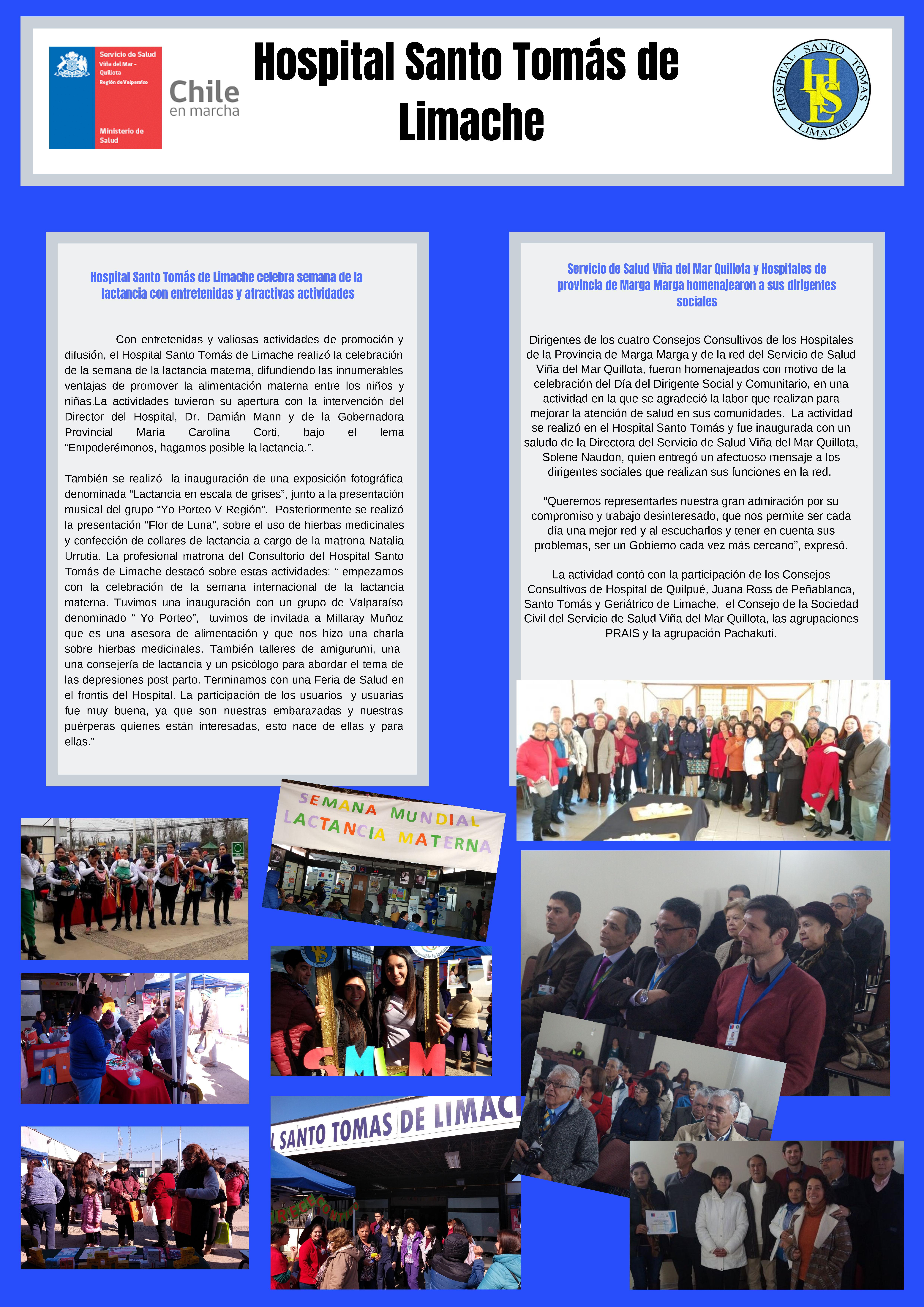 Diario mural digital Limache | SSVQ